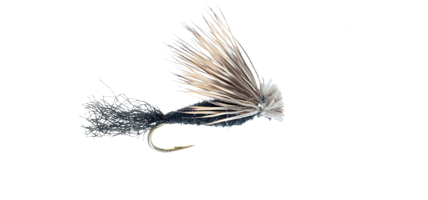 X Caddis Black 6 Pack CLOSEOUT